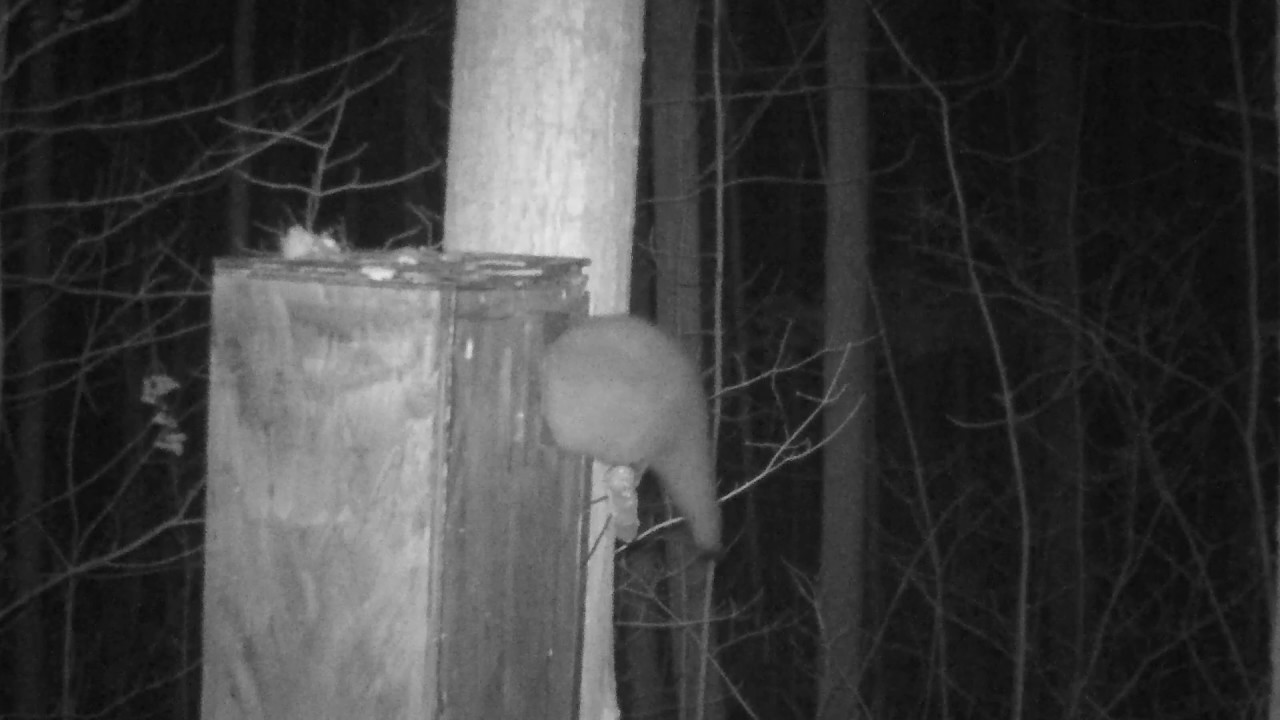 2nd Fisher Investigating Den Box 2017 - YouTube