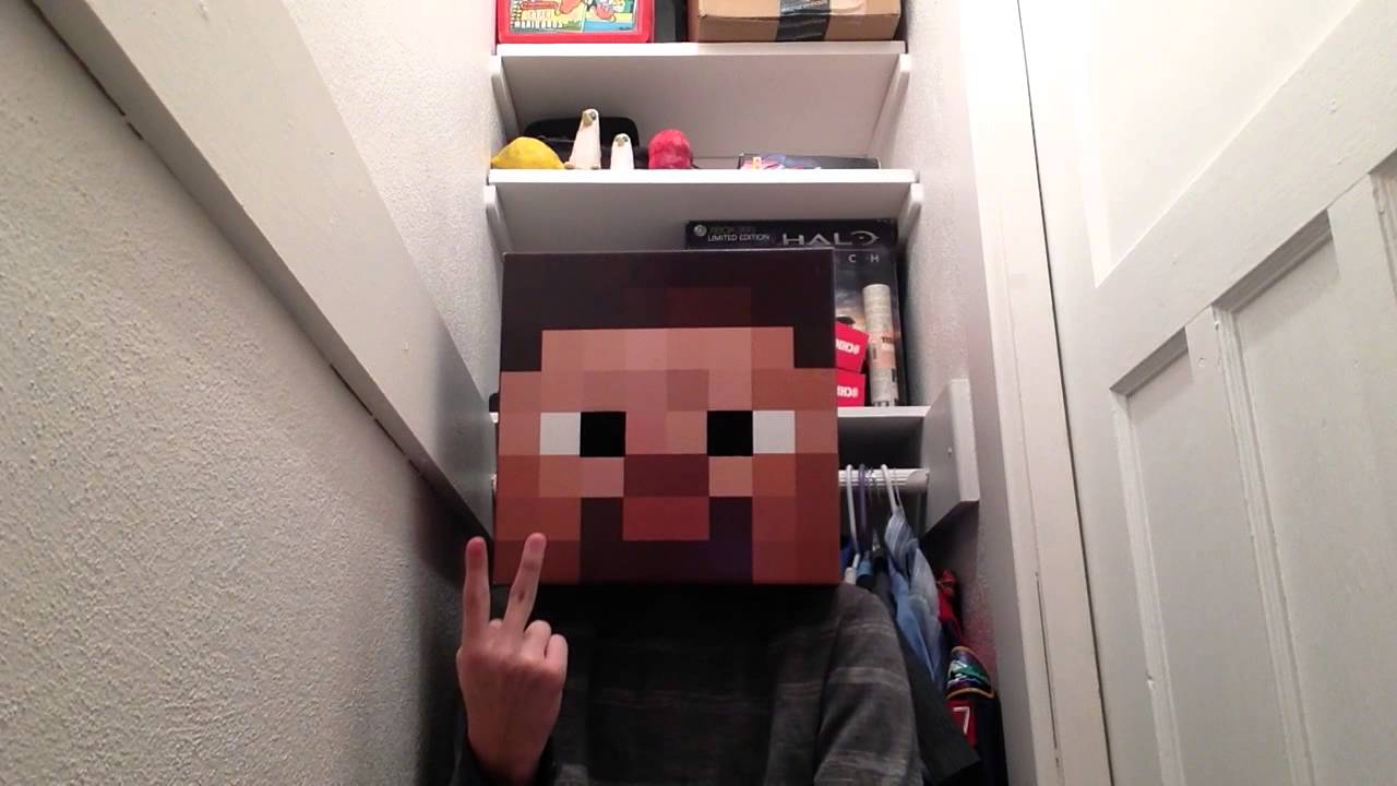 Mineguy01 Reviews: Terraria(fucking shitty minecraft ripoff) - YouTube