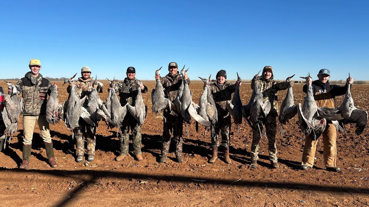 Sandhill Crane Hunting! 7 Man Limit! - YouTube