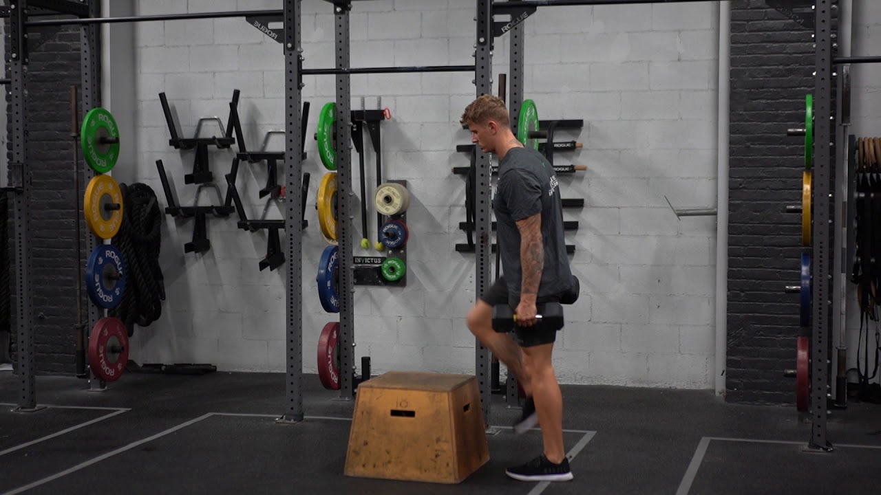Dumbbell Box Step Ups | CrossFit Invictus - YouTube