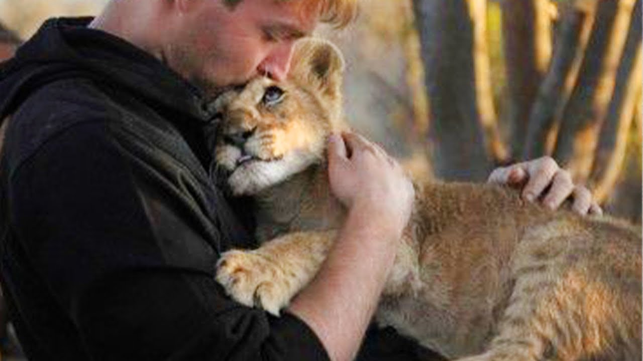 Heartwarming Moments: Animals Expressing Love to Their Human Friends 💖 ...