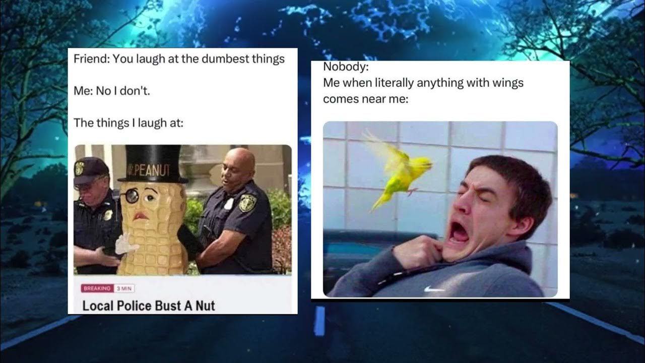 Colossal Memes Drop 4 YouTube colossal-memes-drop-4-youtube