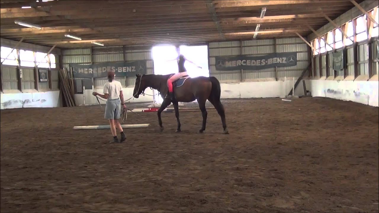 My First Horseback Riding Lesson - YouTube