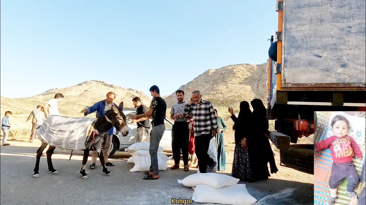 Nomadic life and distribution of government flour for deprived nomadic people - YouTube