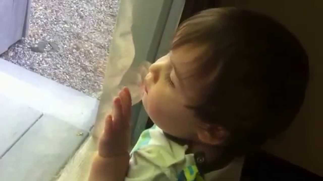 Baby sign - Bird (pio-pio) - YouTube