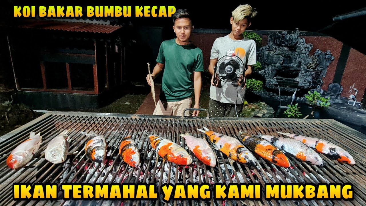 Bakar 10 Ekor Ikan Koi di Pemanggang Jumbo | Cooking Koi Fish - YouTube