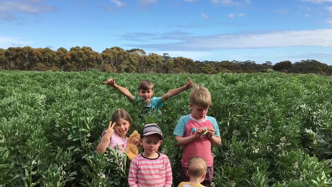 Pontifex Farming - YouTube