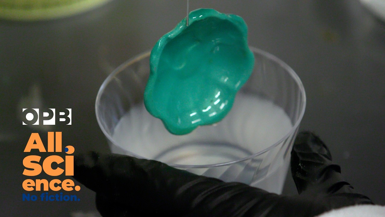 Can this sugar-based material replace single-use plastics? | All ...