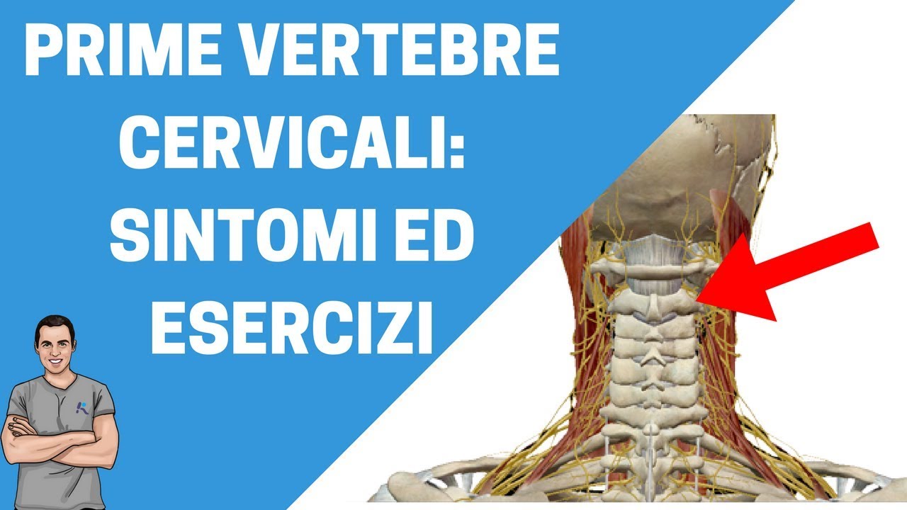 Prime vertebre cervicali (atlante, epistrofeo, C3): sintomi ed esercizi ...