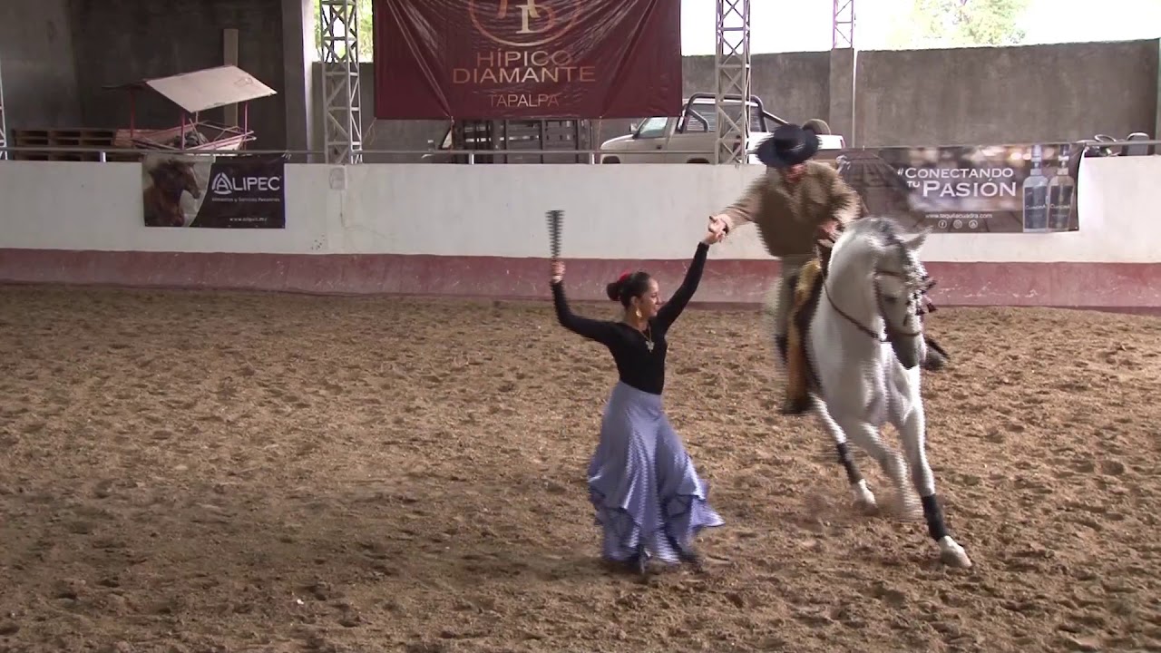 Baile con Caballo El Toro Enamorado - YouTube