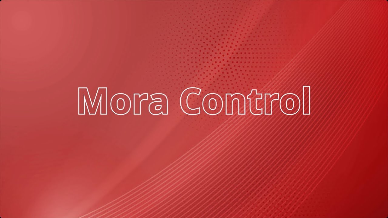 Mora Control - ¿Cómo acceder? - YouTube