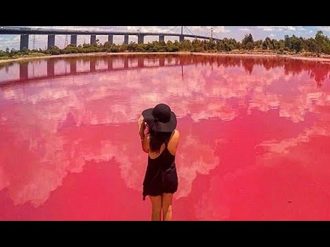 Pink Lake -- Bumbunga lake South Australia - YouTube