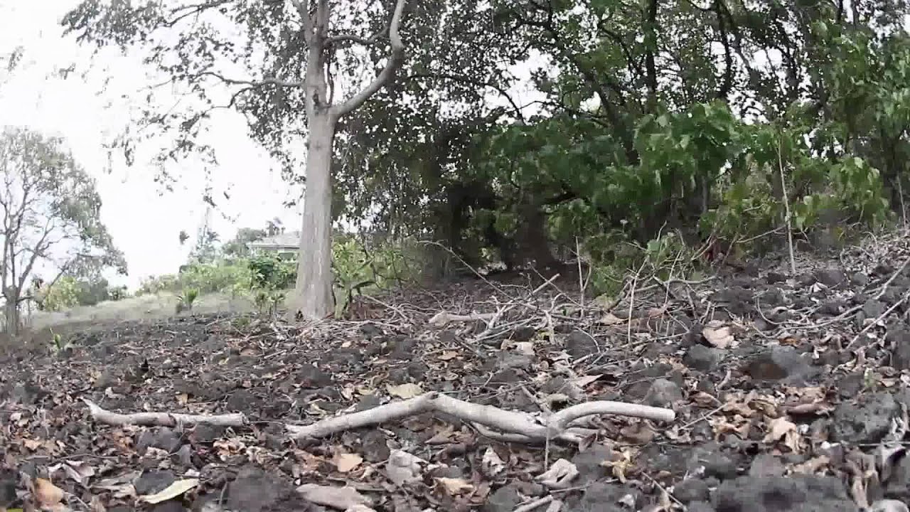 Camping Disaster - Wilderness Survival - YouTube