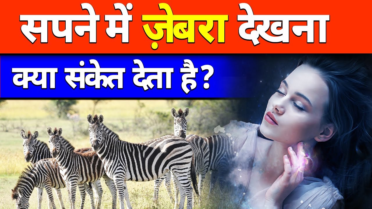 सपने में ज़ेबरा देखना क्या संकेत देता है || sapne me zebra dekhna ...