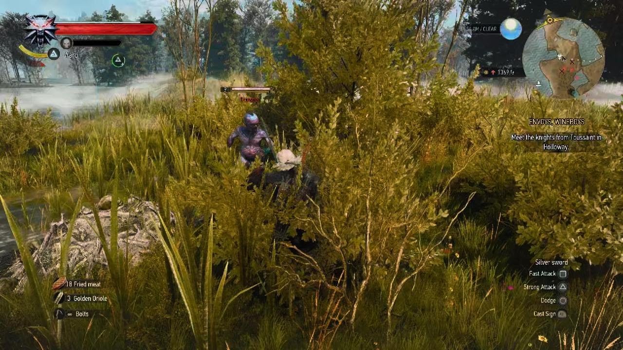 The Witcher 3: Wild Hunt drowner monster nest - YouTube