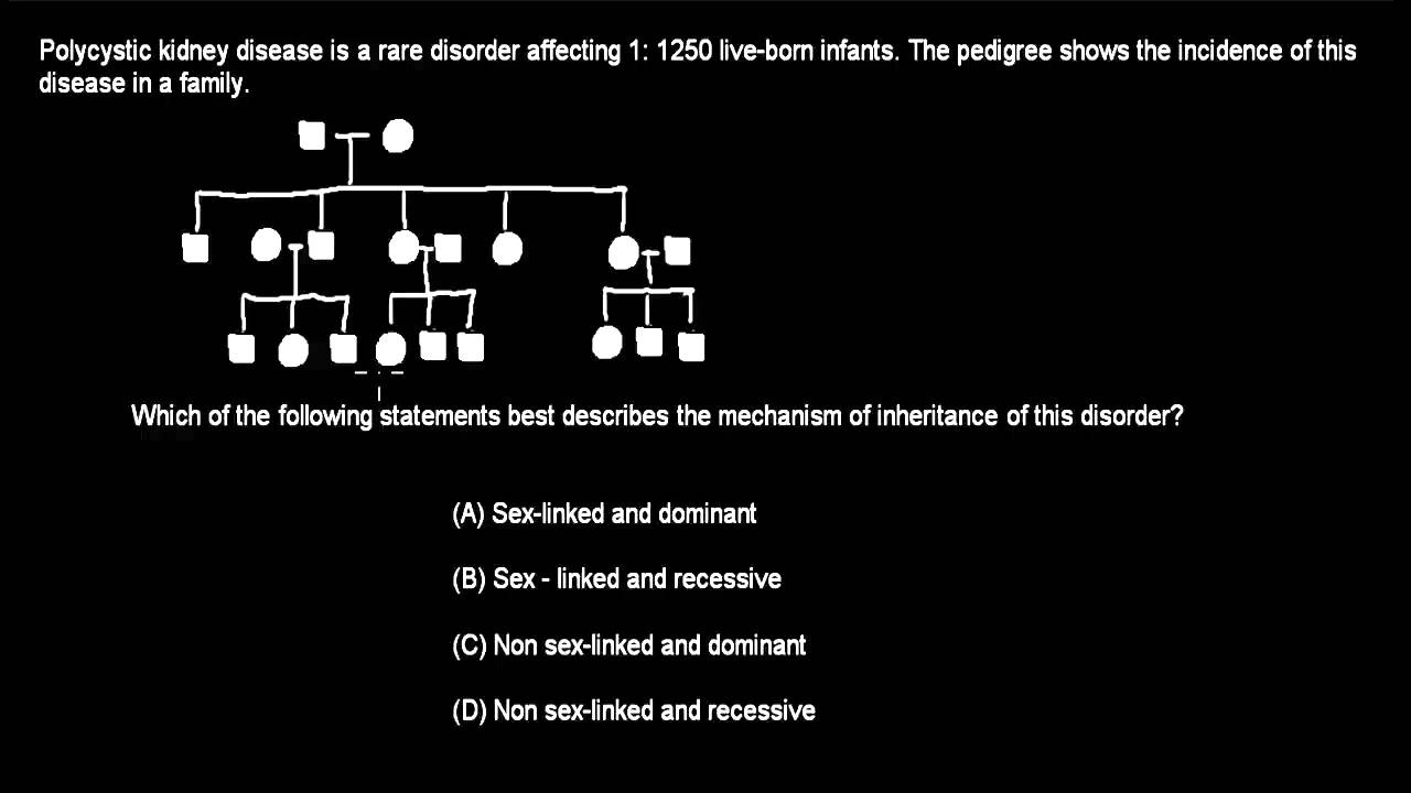HSC multiple choice questions (Mendel and inheritance chapter) - YouTube