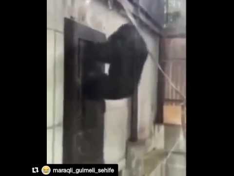 wi-fi cixardanin atasina lenet)))😂