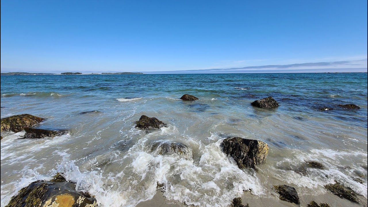 Romil Patel Live Stream - YouTube