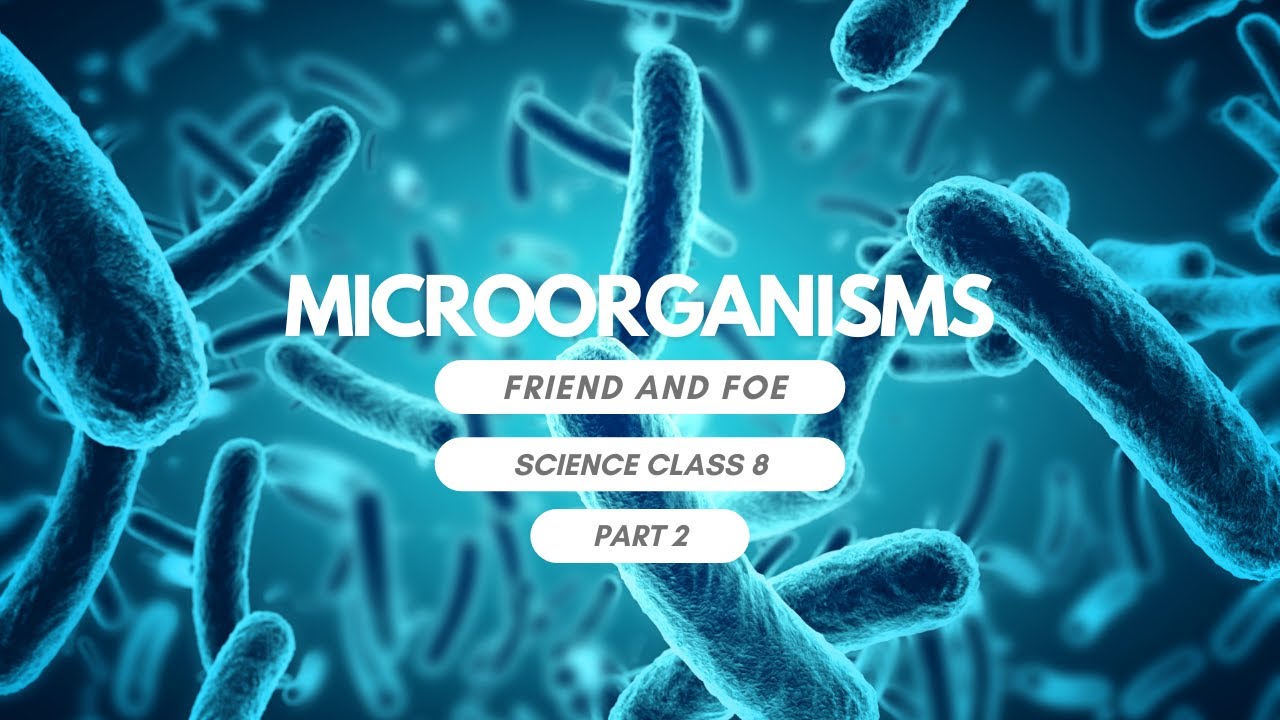 Microorganisms: Friend and Foe (Part 2) | Class 8 | Science | Kiddo's ...