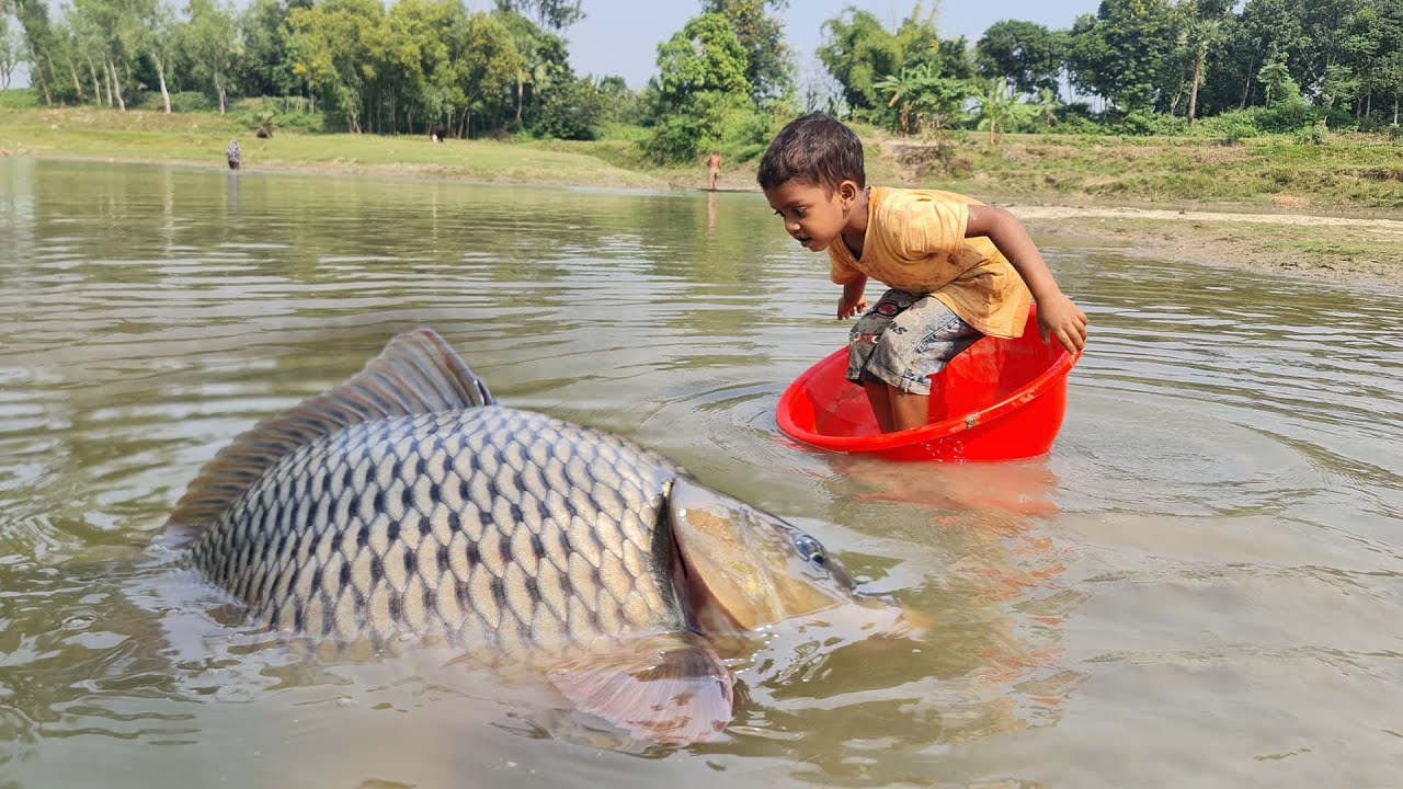 Amazing Big Fish Catching By Hand | Traditional Big Fish Catch By Hand ...