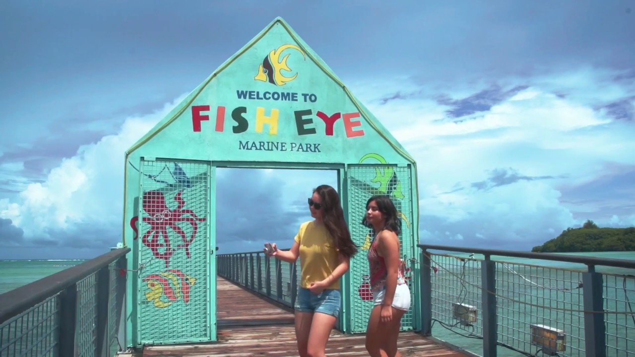 Fish Eye Marine Park Guam - Underwater Observatory in Piti Bay Marine ...