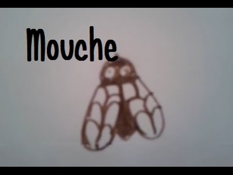 Dessiner une mouche - YouTube