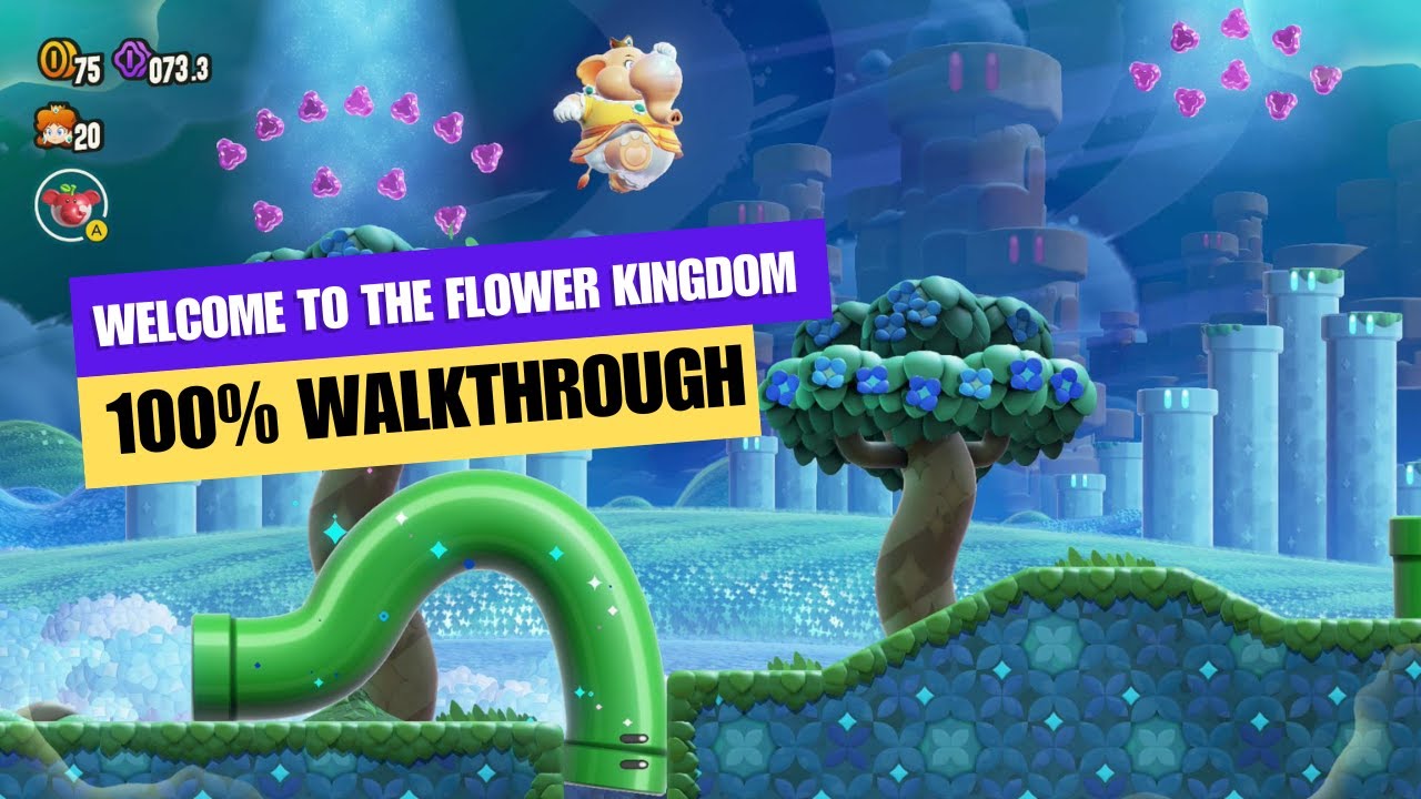 Super Mario Bros. Wonder Welcome to the Flower Kingdom 100% Completion ...