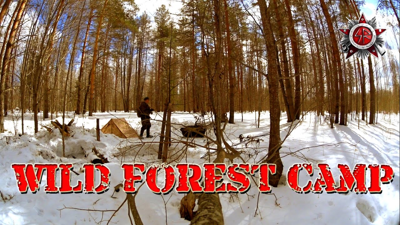 Russian Wild Forest Camp 1 - YouTube