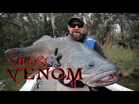 8kg Venom & Giant river fish - YouTube