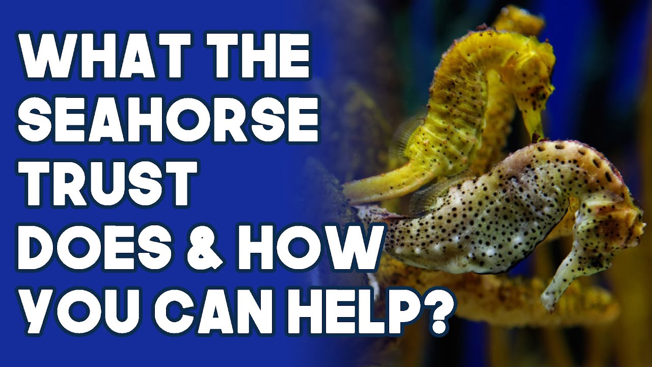 Part 2 | An Interview With Neil Garrick-Maidment Founder & Executive ...