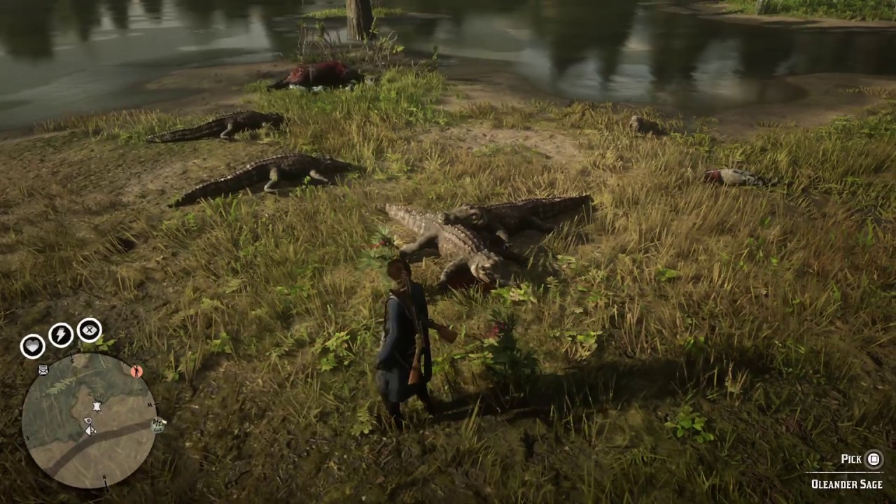 (PS4 RDO) Alligator Party - YouTube