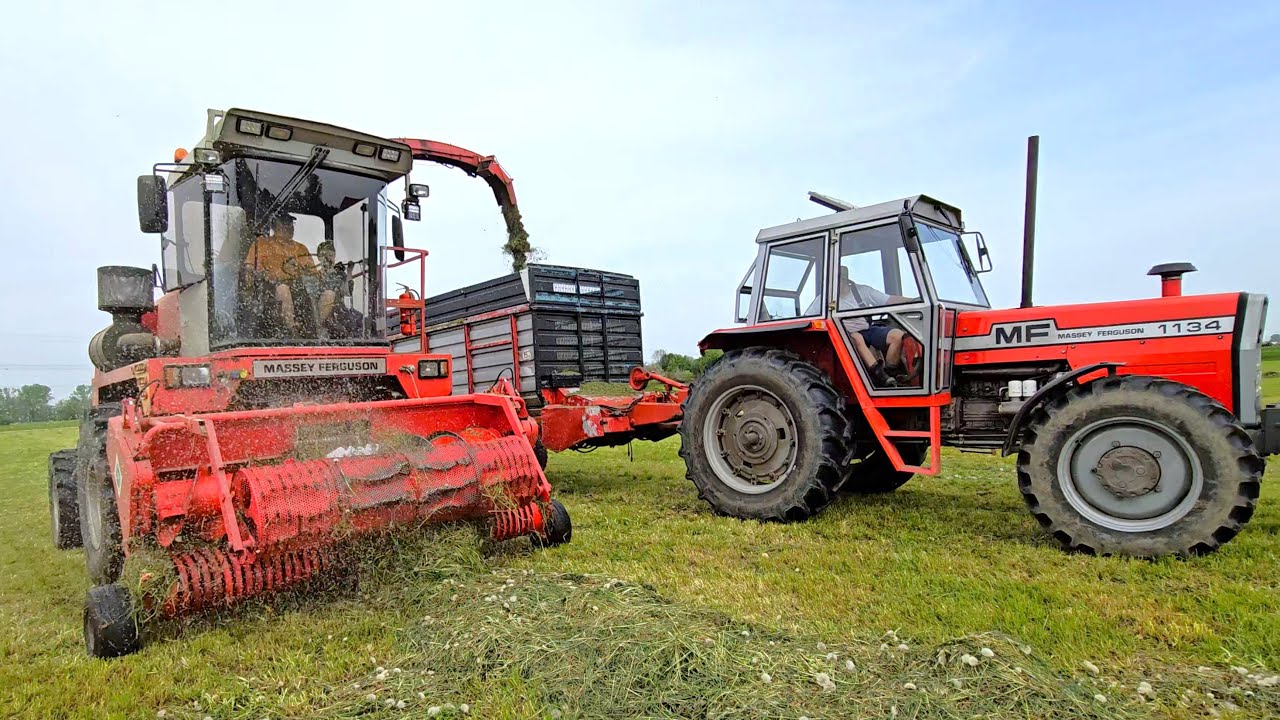 Massey Ferguson 5170 Mammut Power Grassilage mit MF 1134 & MF 284 S und 2 x Mengele Ladewagen ...