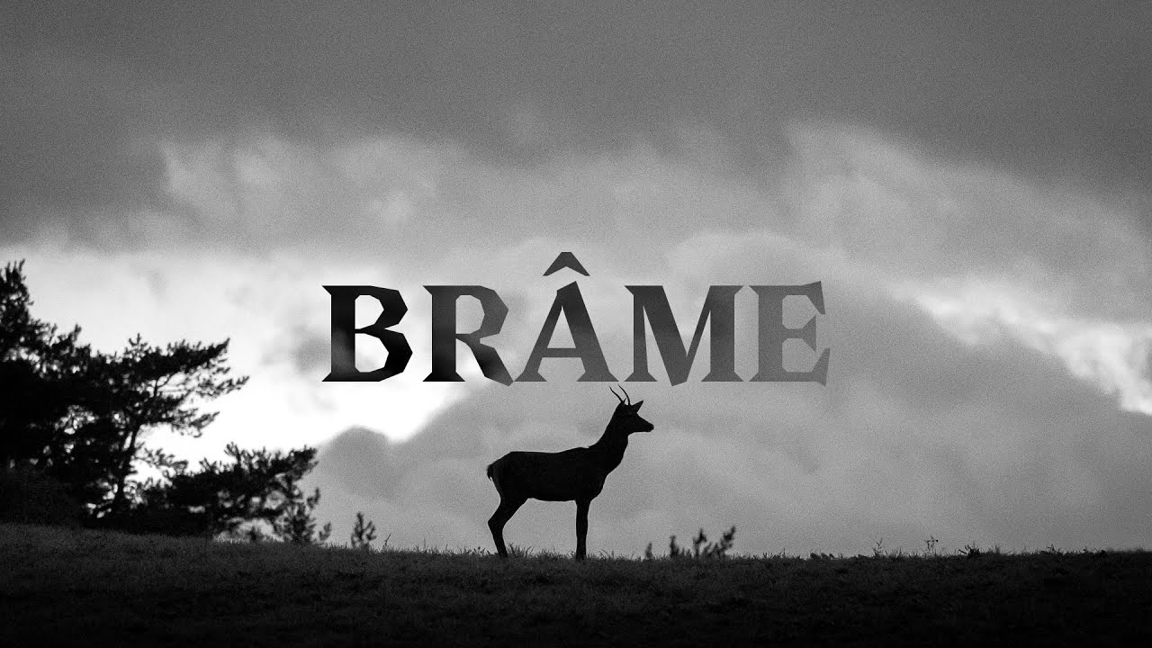 BR ME YouTube br-me-youtube