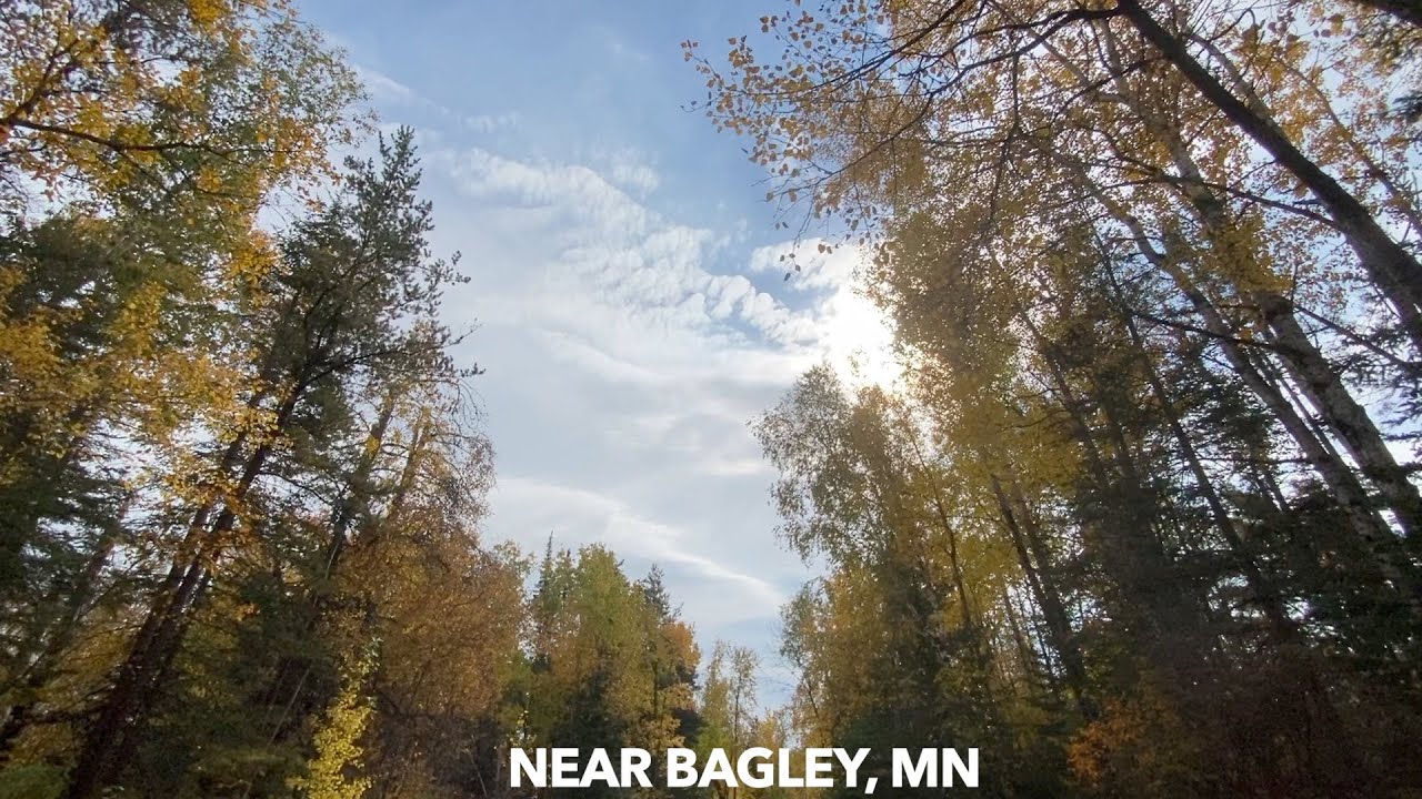 Colors Of Fall, A Walk In The Woods - YouTube