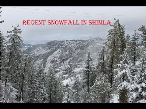 snowfall in shimla | mall road | shimla in winters | ridge road | the ...