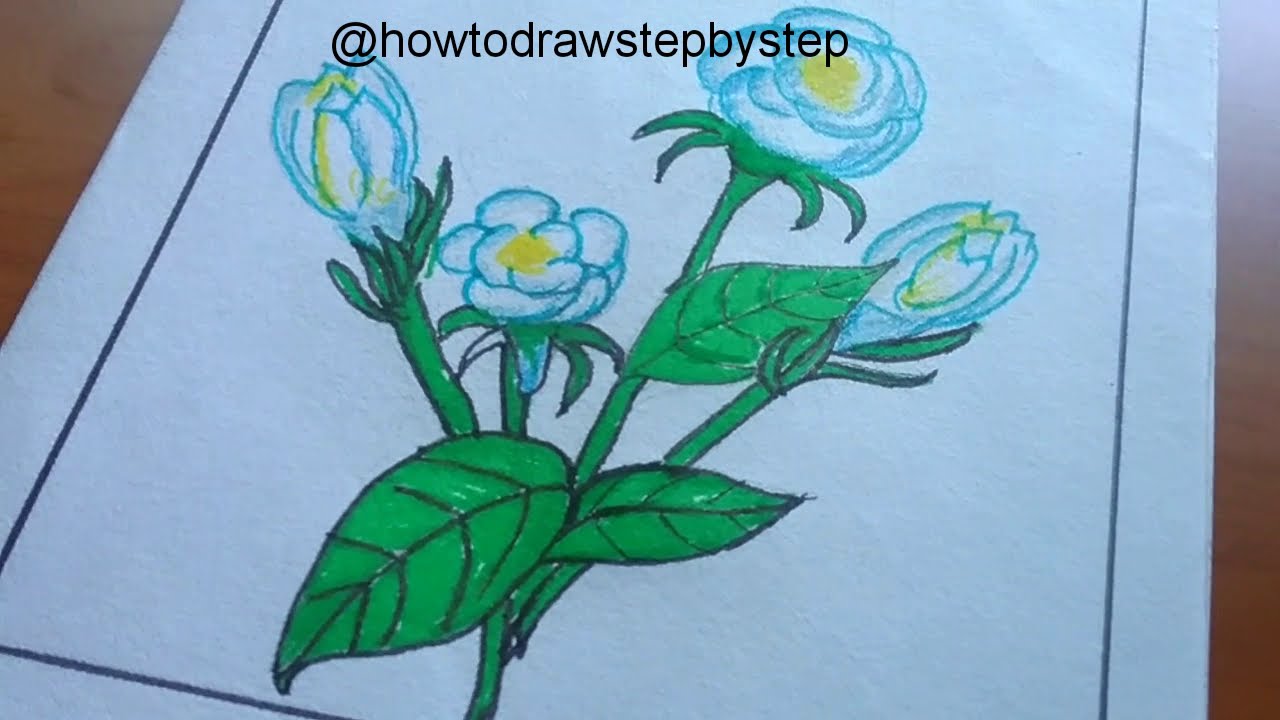 How to draw Mogra flowers easily //floral drawing and colouring //@how ...