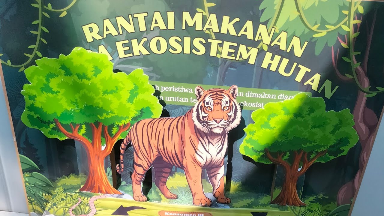 Review pop up book terbaru ukuran A3 tentang rantai makanan ekosistem ...