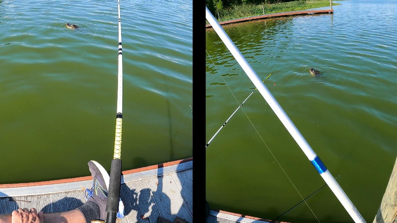 My first solid attempt at bass fishing (in Florida) - Fishing Vlogs (HD) - YouTube