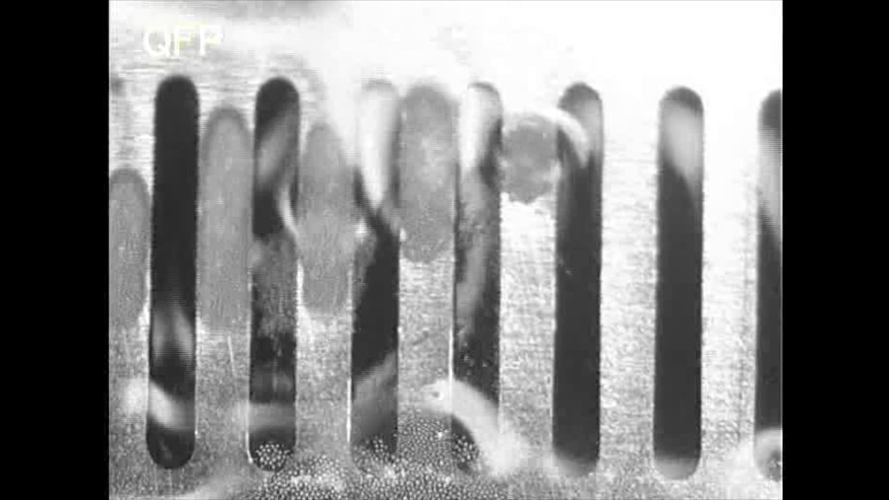 SAWA | SC-ML736 Ultrasonic cleaner Demo メタルマスク洗浄機 - YouTube