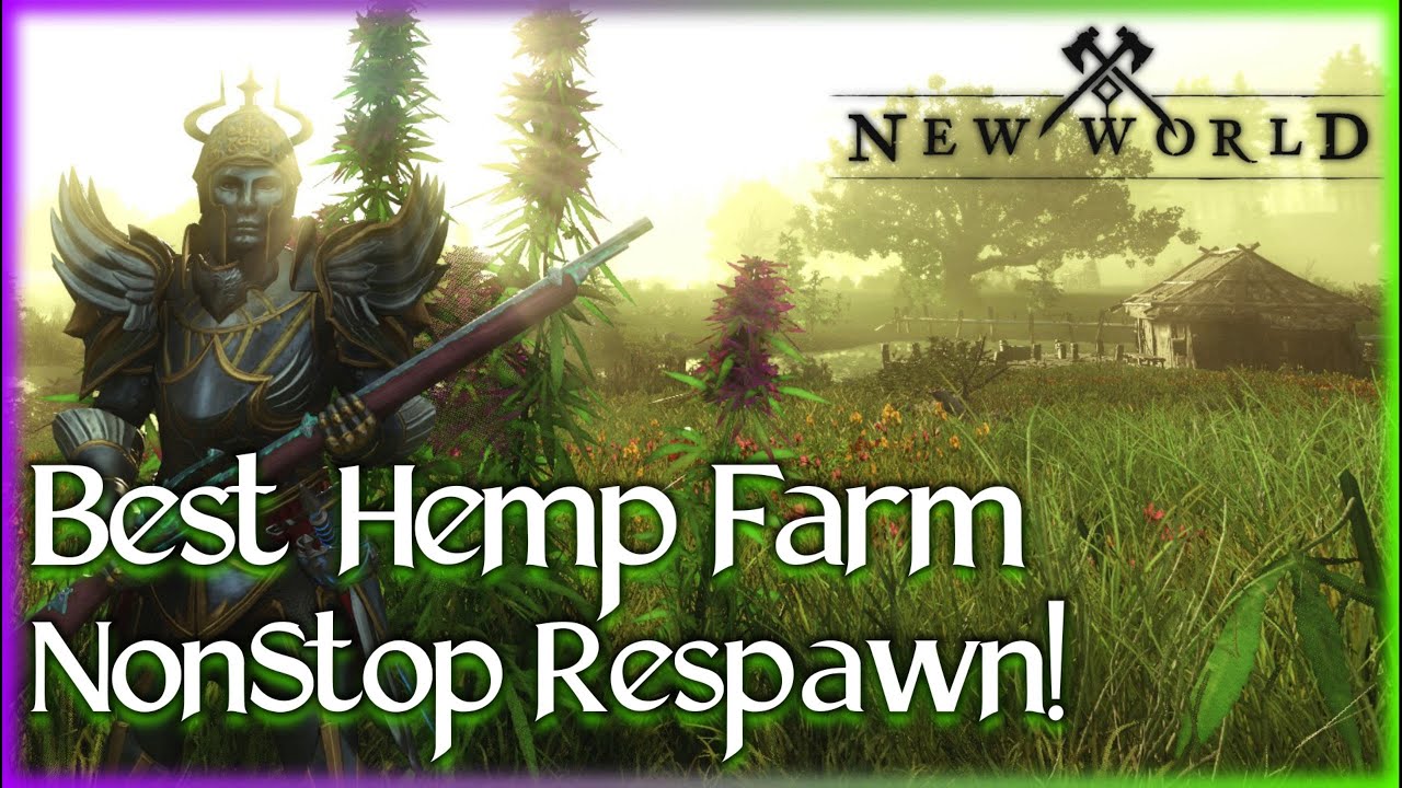 New World: Best Hemp Farm! Non Stop Respawn - YouTube