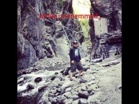 Corni delfina Mehemmed Mustafayev