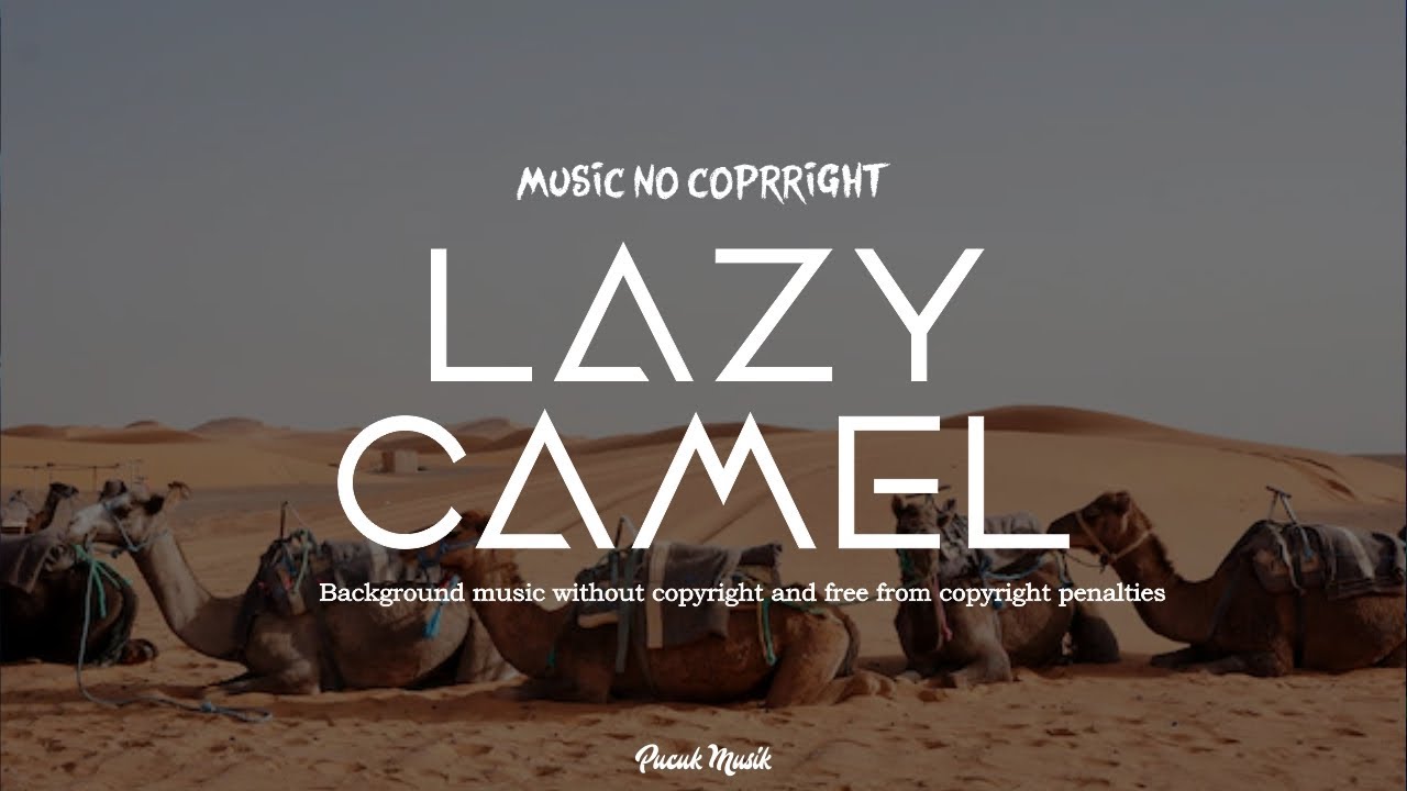 LAZY CAMEL - MUSIC NO COPYRIGHT (BACKSOUND MUSIC) - YouTube