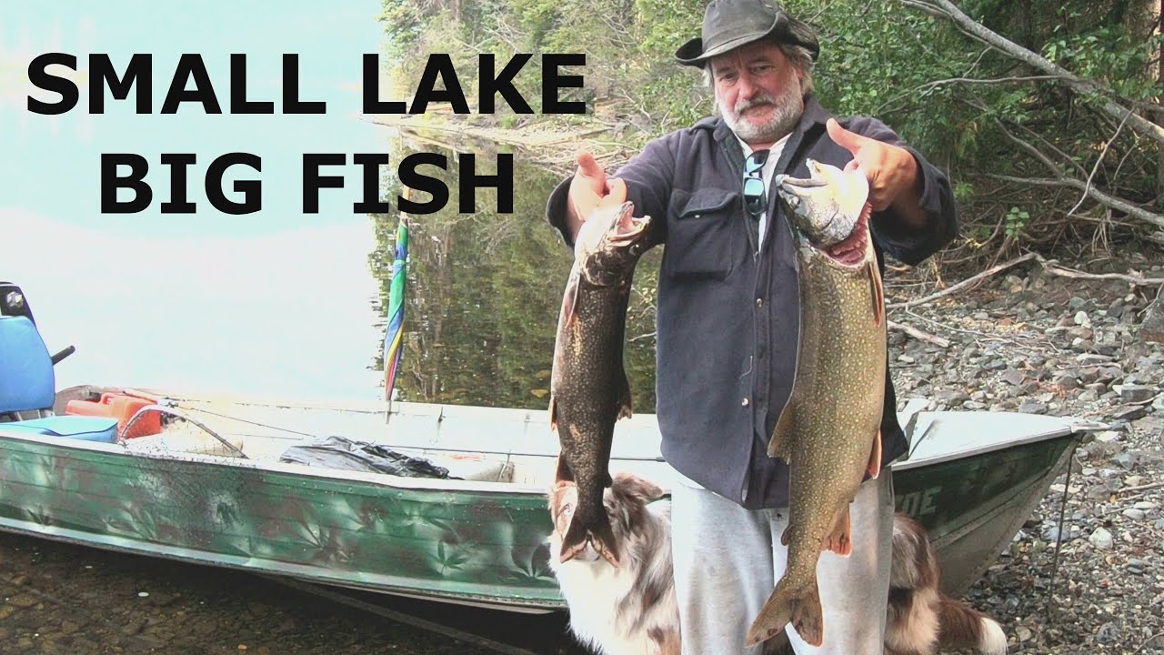 Small Lake Big Fish. - YouTube