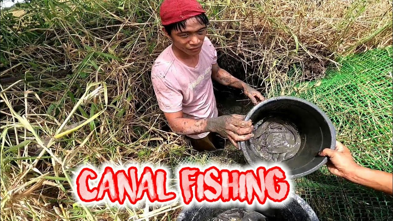 Primitive Fishing | Pangingisda Gamit ang Chicken Wire | Episode 23 ...