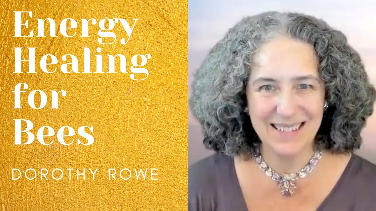 Energy Healing for Bees and Other Insects - Dorothy Rowe - YouTube