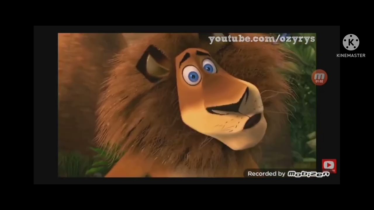 Coffin Dance Madagascar Reversed - YouTube