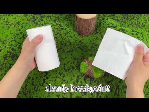 18 rolls2500g 100% virgin wood pulp coreless toilet paper