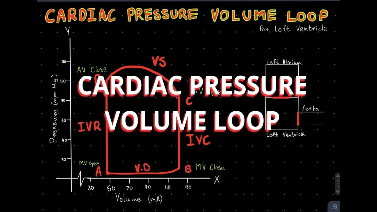 Cardiac Pressure Volume Loop | Made Easy - YouTube
