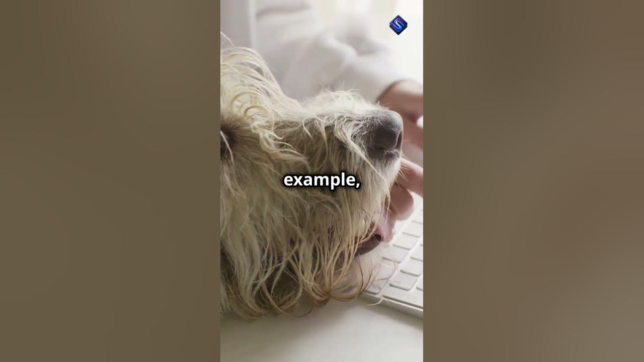 Machine Learning In Python Explained In Simple Terms Facts Programming Codingtech Coding