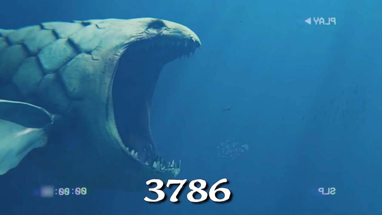 Evolution of Bloop 4 - YouTube